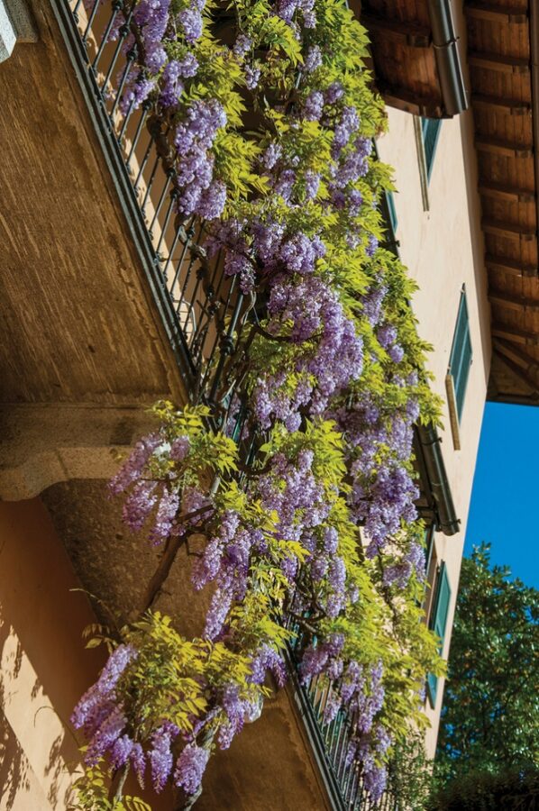 Bellagio - een van de mooiste dorpjes aan het Comomeer