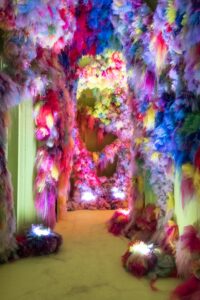 Crazy – kleurrijke expositie in Chiostro del Bramante Rome