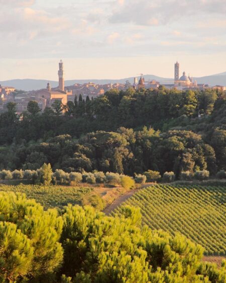 La Torre alle Tolfe – vakantie biologische boerderij Siena