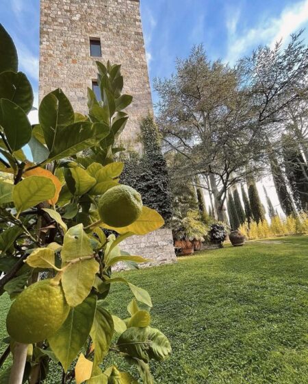 La Torre alle Tolfe – vakantie biologische boerderij Siena