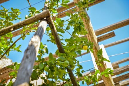 Limone sul Garda – dorp vol citroenen aan het Gardameer