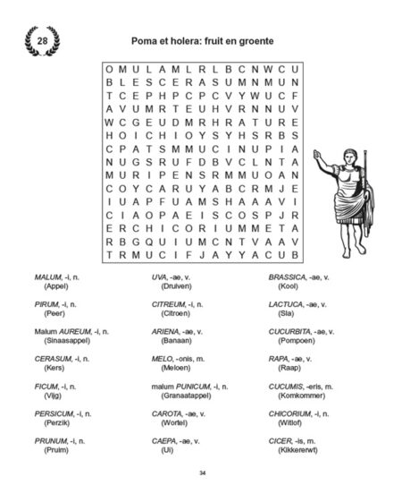Woordzoeker Latijn – zoek naar Latijnse woorden en zinnen