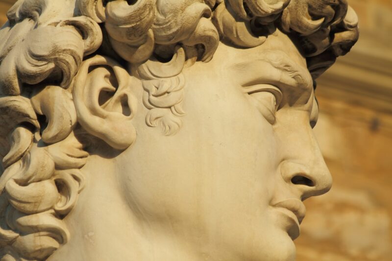 Bewonder de marmeren David van Michelangelo in Florence