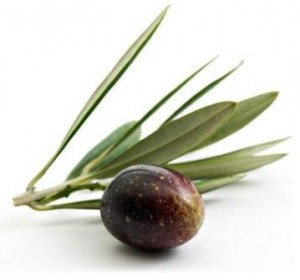 Olijfolie-ijs met olijvenkoekjes – Ciao tutti – ontdekkingsblog door Italië